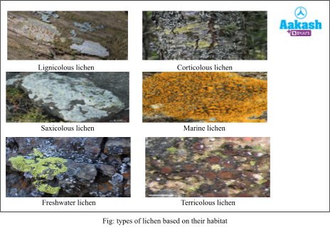 Classification of lichens, Characteristics of Viroids & Prions | AESL